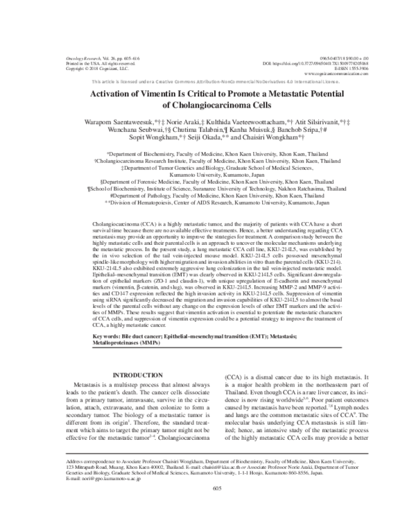 (PDF) Activation of Vimentin Is Critical to Promote a Metastatic ...