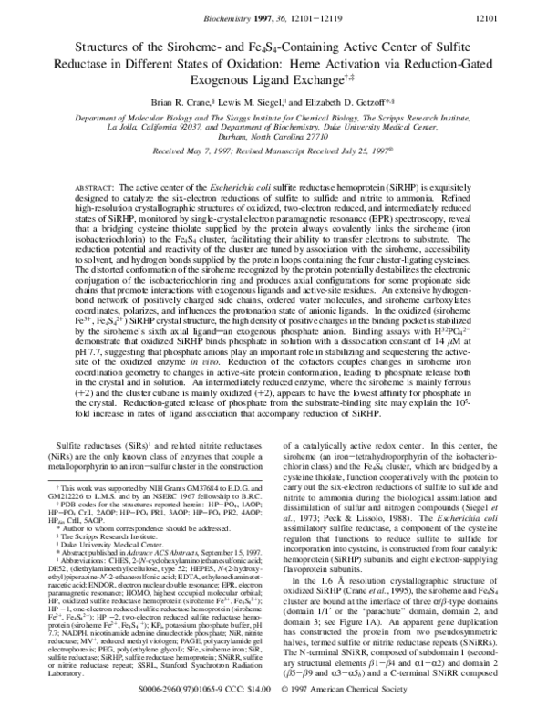 (PDF) Structures of the Siroheme- and Fe4S4-Containing Active Center of ...