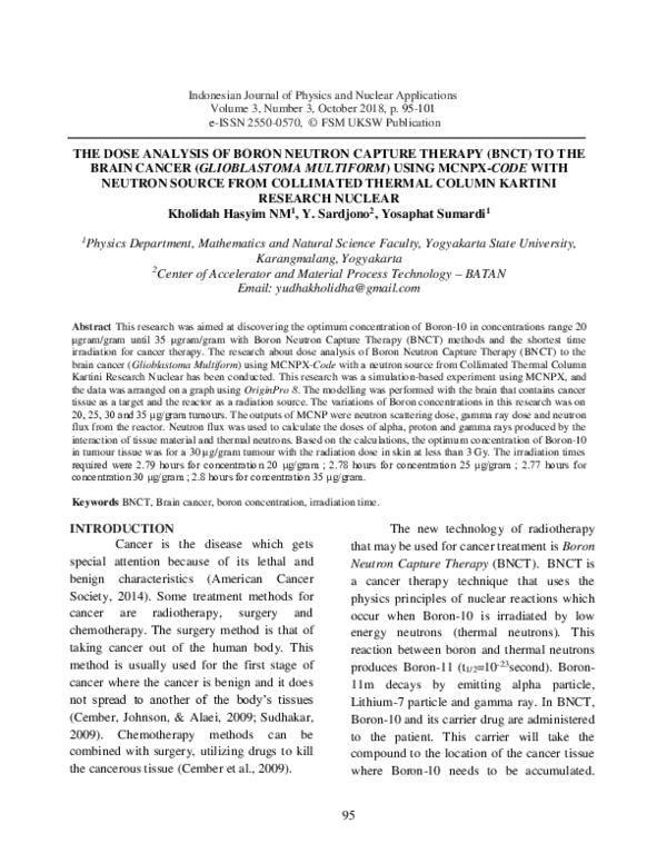 (PDF) The Dose Analysis of Boron Neutron Capture Therapy (BNCT) to the Brain Cancer ...