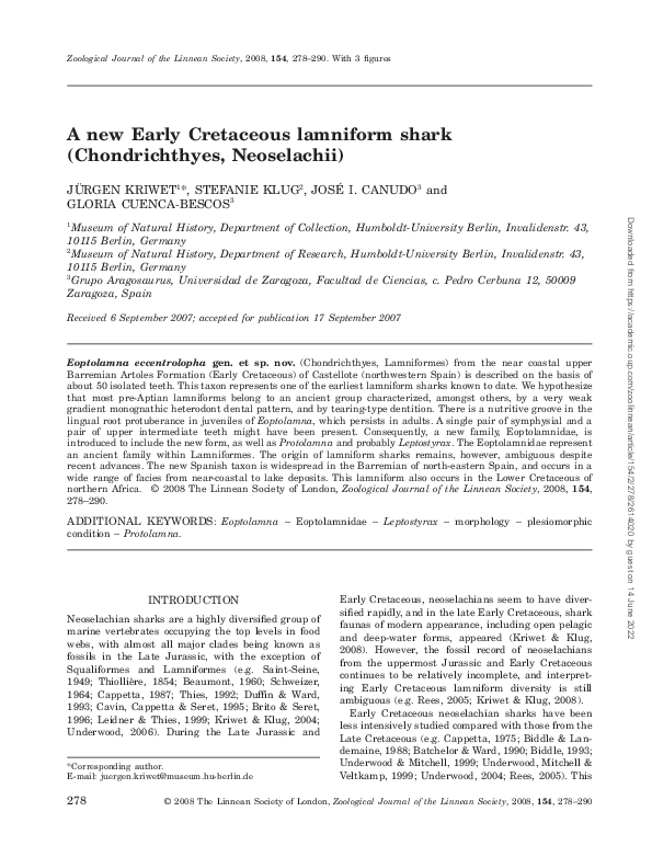 (PDF) A new Early Cretaceous lamniform shark (Chondrichthyes, Neoselachii)
