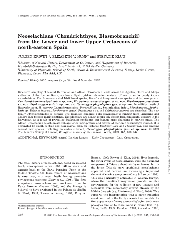 (PDF) Neoselachians (Chondrichthyes, Elasmobranchii) from the Lower and ...