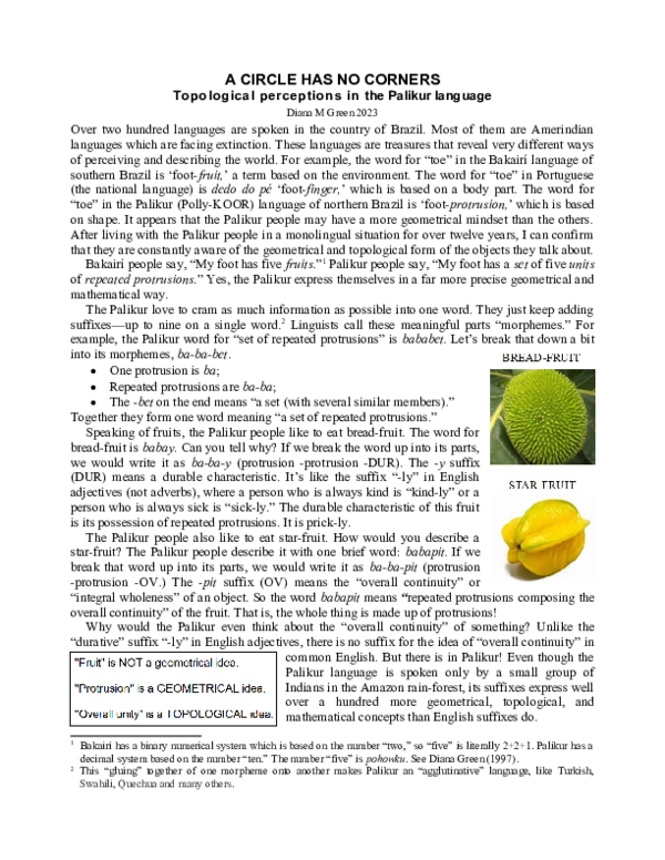 (PDF) A CIRCLE HAS NO CORNERS Topological perceptions in the Palikur ...