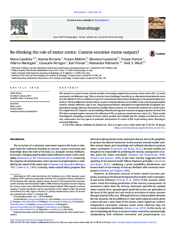 (PDF) Re-thinking the role of motor cortex: Context-sensitive motor outputs?
