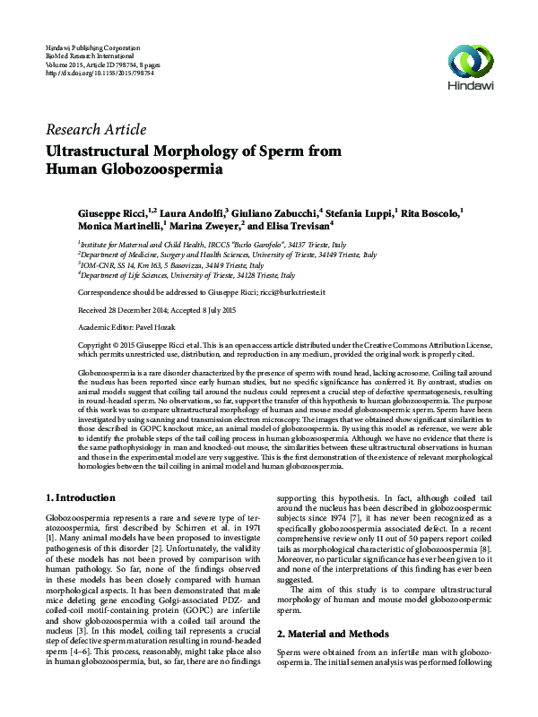 (PDF) Ultrastructural Morphology of Sperm from Human Globozoospermia | Giuliano Zabucchi ...