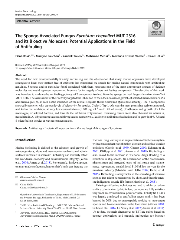 (PDF) The Sponge-Associated Fungus Eurotium chevalieri MUT 2316 and its ...
