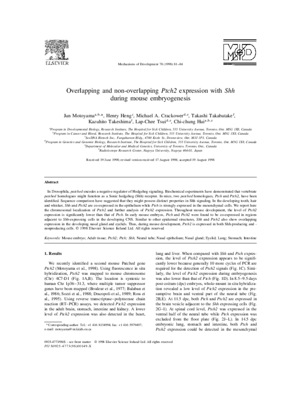 (PDF) Overlapping and non-overlapping Ptch2 expression with Shh during ...