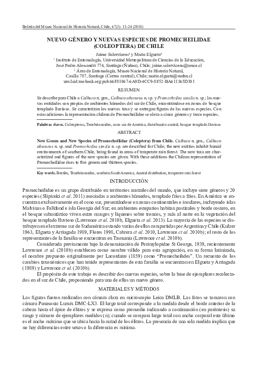 (PDF) Nuevo género y nuevas especies de Promecheilidae (Coleoptera) de ...