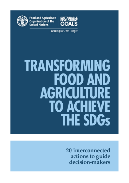 (PDF) TRANSFORMING FOOD AND AGRICULTURE TO ACHIEVE THE SDGs 20 interconnected actions to guide ...