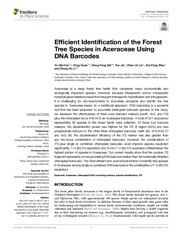 (PDF) Efficient Identification of the Forest Tree Species in Aceraceae ...