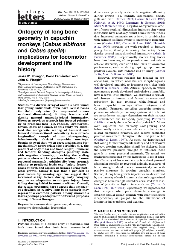 (PDF) Ontogeny of long bone geometry in capuchin monkeys (Cebus ...
