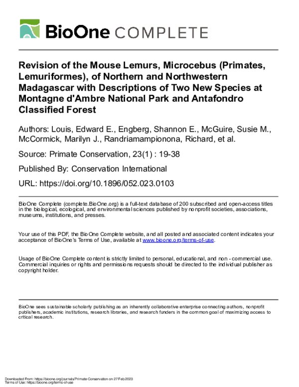(PDF) Revision of the Mouse Lemurs,Microcebus(Primates, Lemuriformes ...