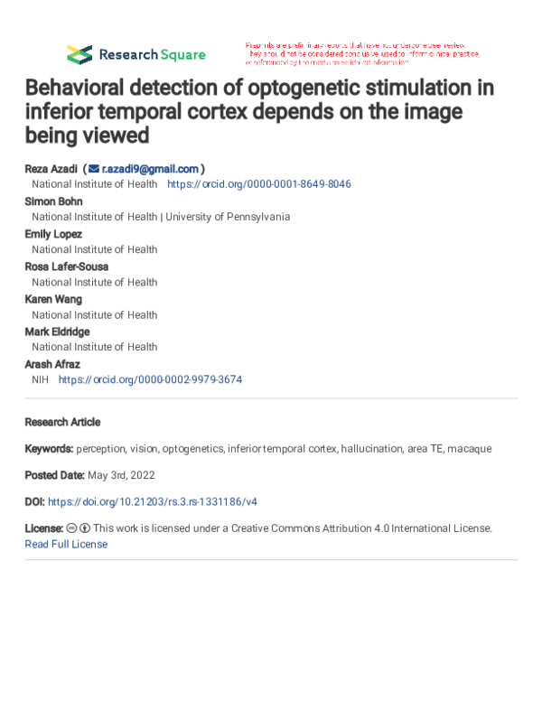 (PDF) Optical stimulation of inferior temporal cortex induces object ...