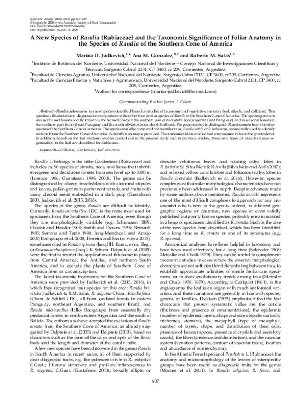 (PDF) A New Species of Randia (Rubiaceae) and the Taxonomic ...