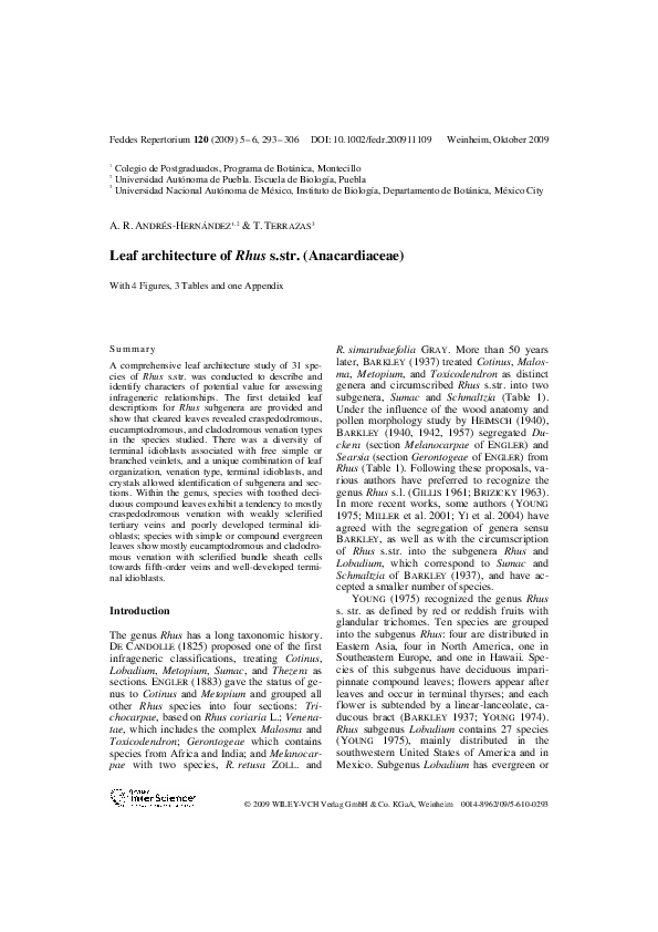 (PDF) Leaf architecture of Rhus s.str. (Anacardiaceae)