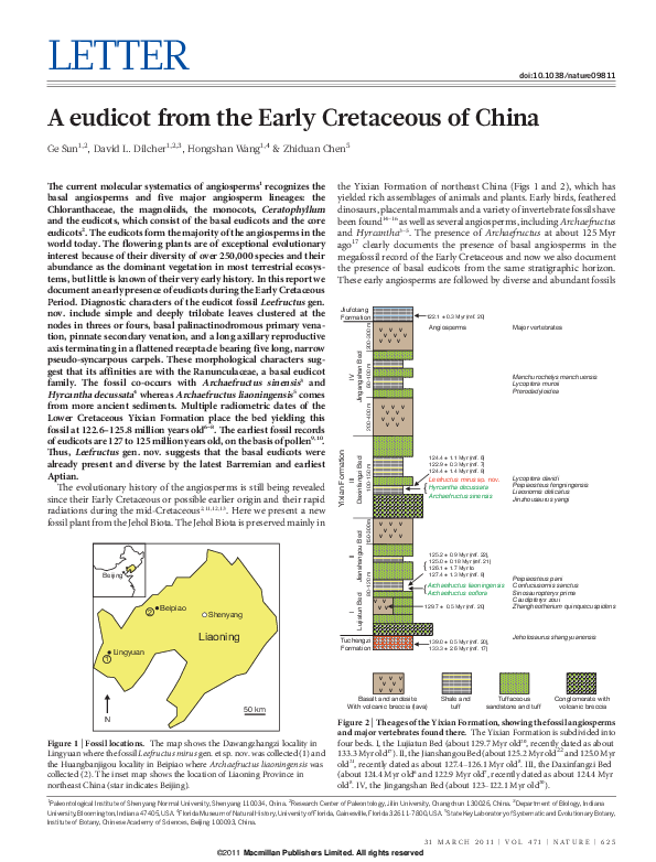 (PDF) A eudicot from the Early Cretaceous of China
