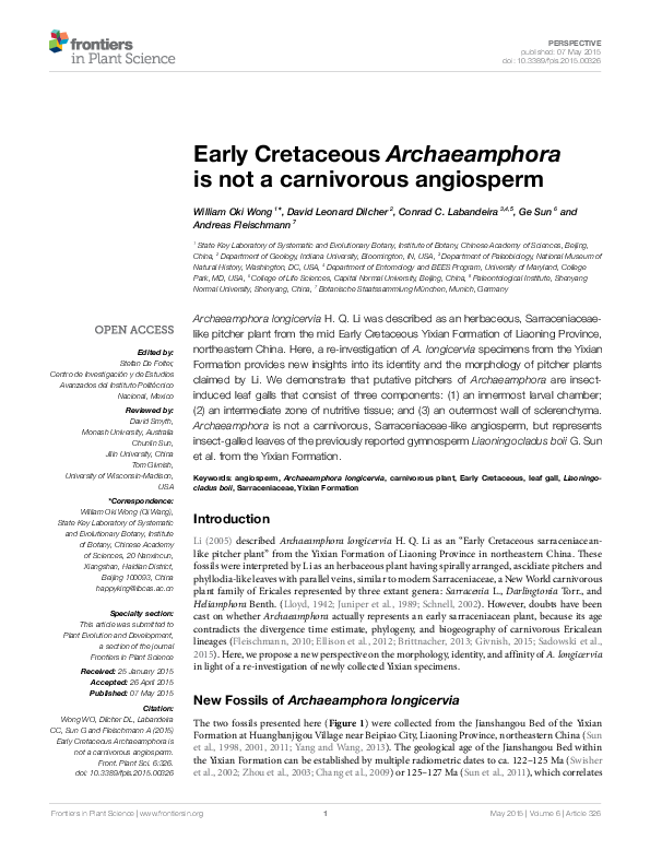 (PDF) Early Cretaceous Archaeamphora is not a carnivorous angiosperm