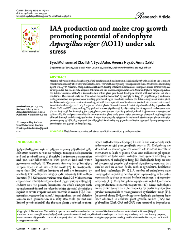 (PDF) IAA production and maize crop growth promoting potential of ...