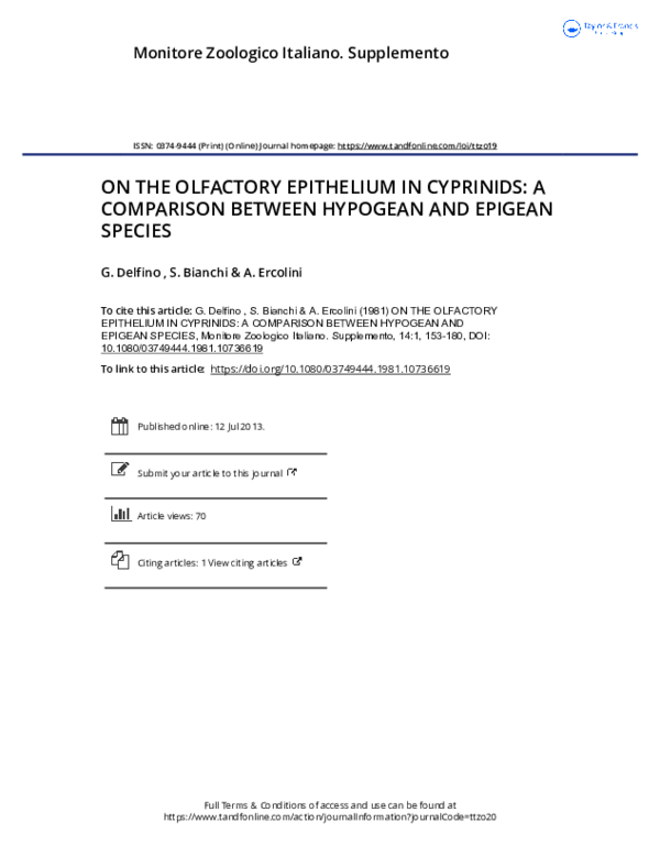 (PDF) On the Olfactory Epithelium in Cyprinids: A Comparison Between ...