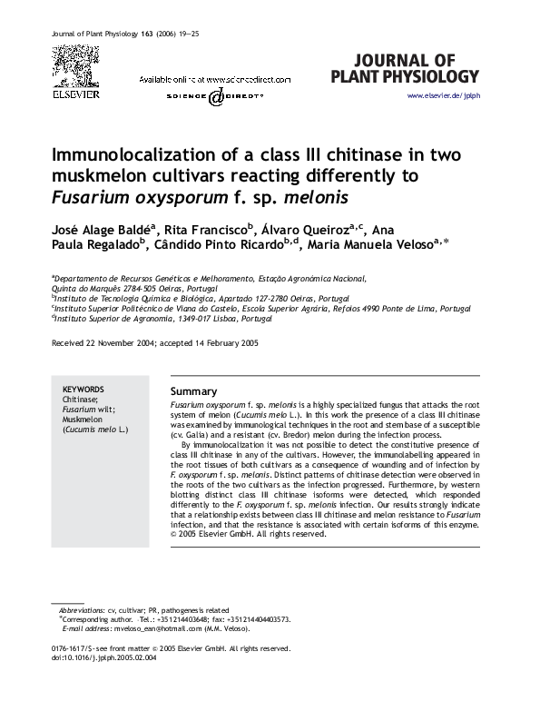 (PDF) Immunolocalization of a class III chitinase in two muskmelon cultivars reacting ...