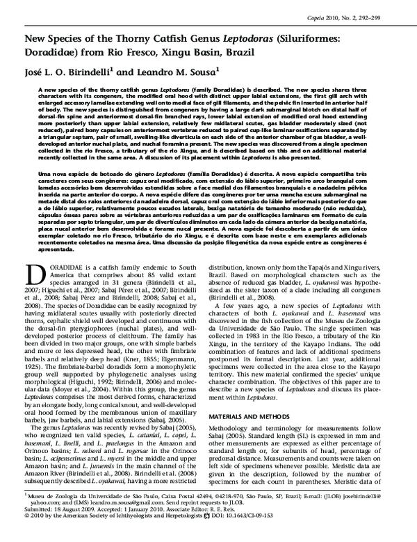 (PDF) New Species of the Thorny Catfish Genus Leptodoras (Siluriformes ...