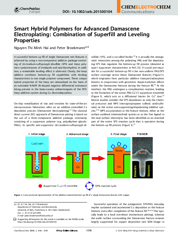 (PDF) Smart Hybrid Polymers for Advanced Damascene Electroplating ...