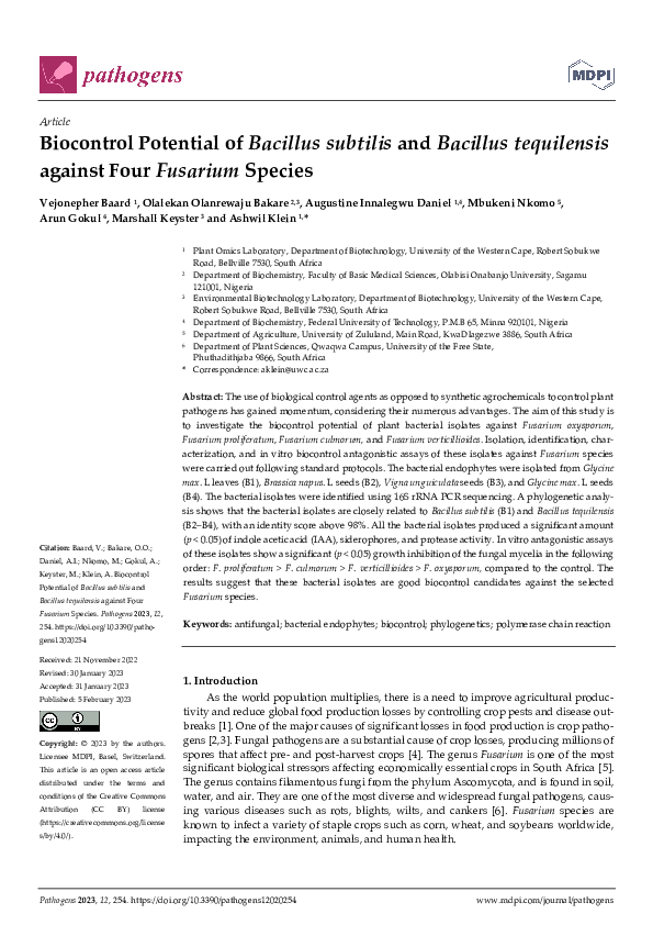 (PDF) Biocontrol Potential of Bacillus subtilis and Bacillus tequilensis against Four Fusarium ...