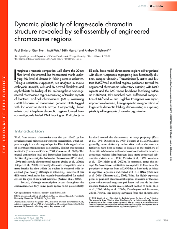 Pdf Dynamic Plasticity Of Large Scale Chromatin Structure Revealed By