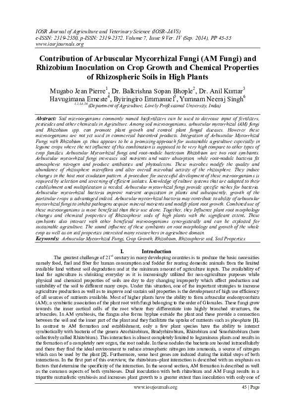 (PDF) Contribution of Arbuscular Mycorrhizal Fungi (AM Fungi) and Rhizobium Inoculation on Crop ...