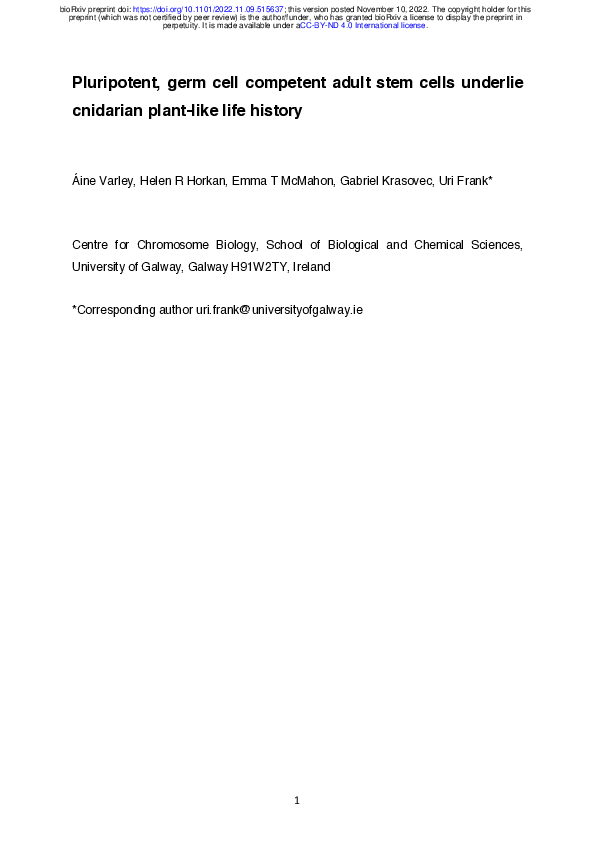 (PDF) Pluripotent Adult Stem Cells in Cnidarians