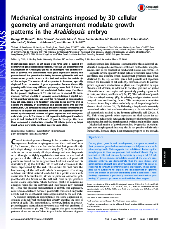 Mechanical constraints imposed by 3D cellular geometry and arrangement ...