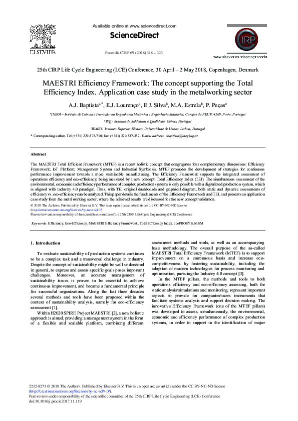 (PDF) MAESTRI Efficiency Framework: The Concept Supporting the Total Efficiency Index ...