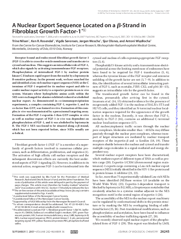 (PDF) A Nuclear Export Sequence Located on a β-Strand in Fibroblast ...