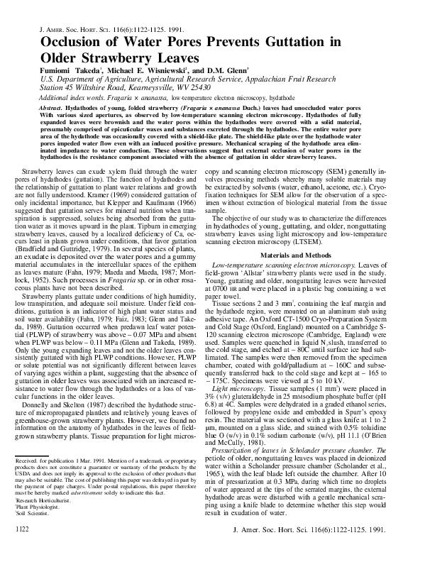 (PDF) Occlusion of Water Pores Prevents Guttation in Older Strawberry ...