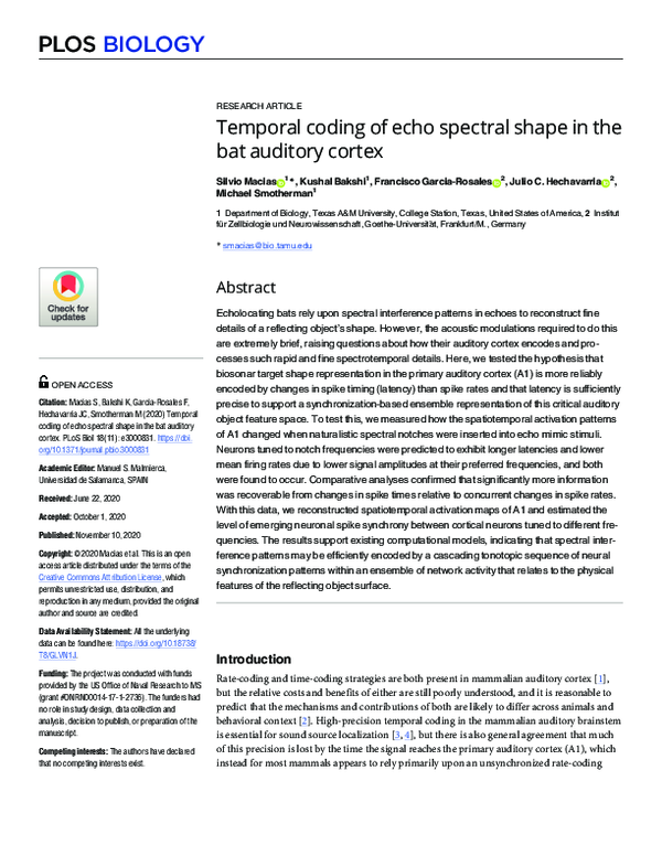 (PDF) Temporal coding of echo spectral shape in the bat auditory cortex