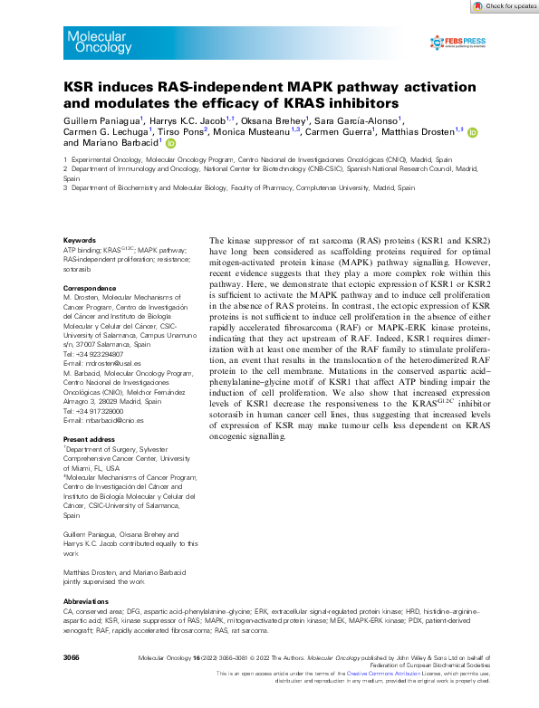 (PDF) KSR induces RAS-independent MAPK pathway activation and modulates ...