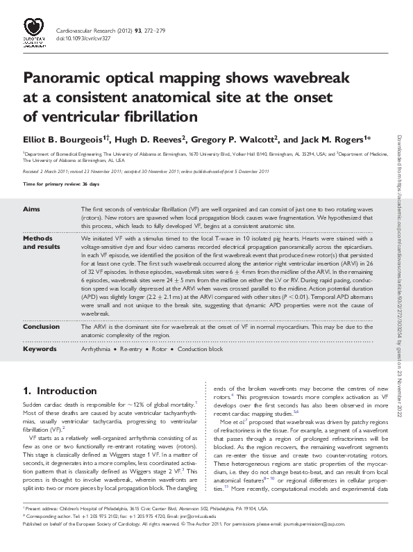 (PDF) Panoramic optical mapping shows wavebreak at a consistent ...