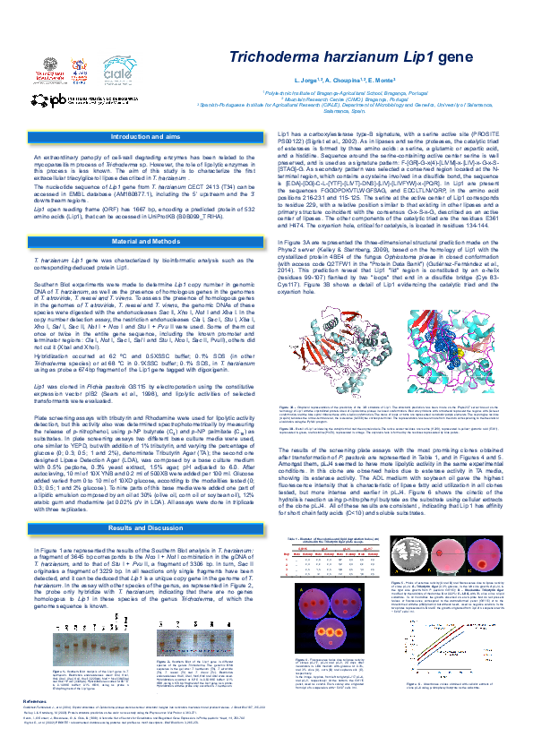 (PDF) Trichoderma harzianum Lip1 gene