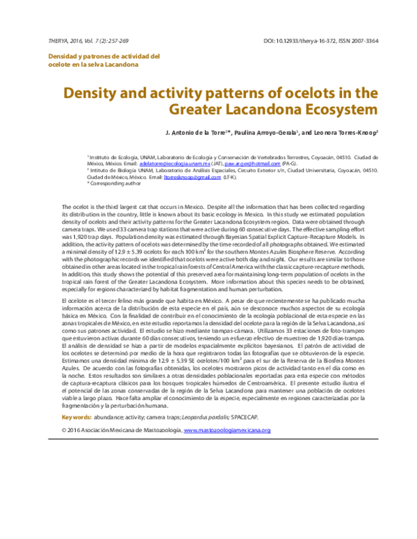 (PDF) Density and activity patterns of ocelots in the greater lacandona ecosystem