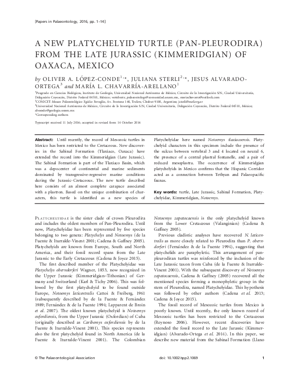 (PDF) A new platychelyid turtle (Pan-Pleurodira) from the Late Jurassic ...