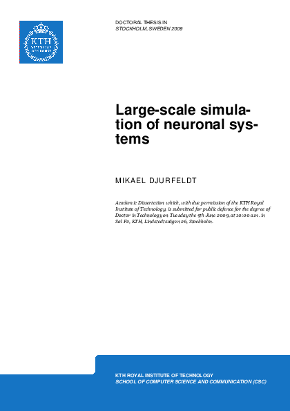 (PDF) Large-scale simulation of neuronal systems