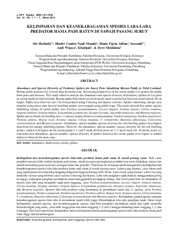 (PDF) Kelimpahan Dan Keanekaragaman Spesies Laba-Laba Predator Hama Padi Ratun DI Sawah Pasang ...