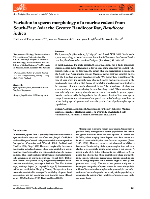 (PDF) Variation in sperm morphology of a murine rodent from South-East ...