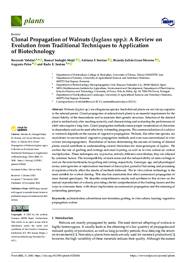 (PDF) Clonal Propagation of Walnuts (Juglans spp.): A Review on ...