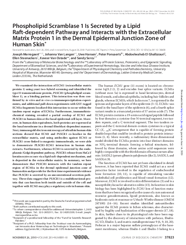 (PDF) Phospholipid Scramblase 1 Is Secreted by a Lipid Raft-dependent ...