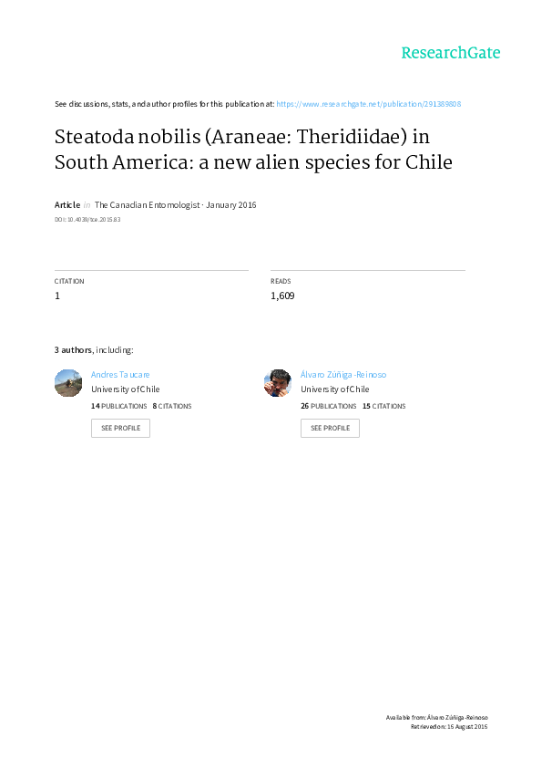 Pdf Steatoda Nobilis Araneae Theridiidae In South America A New