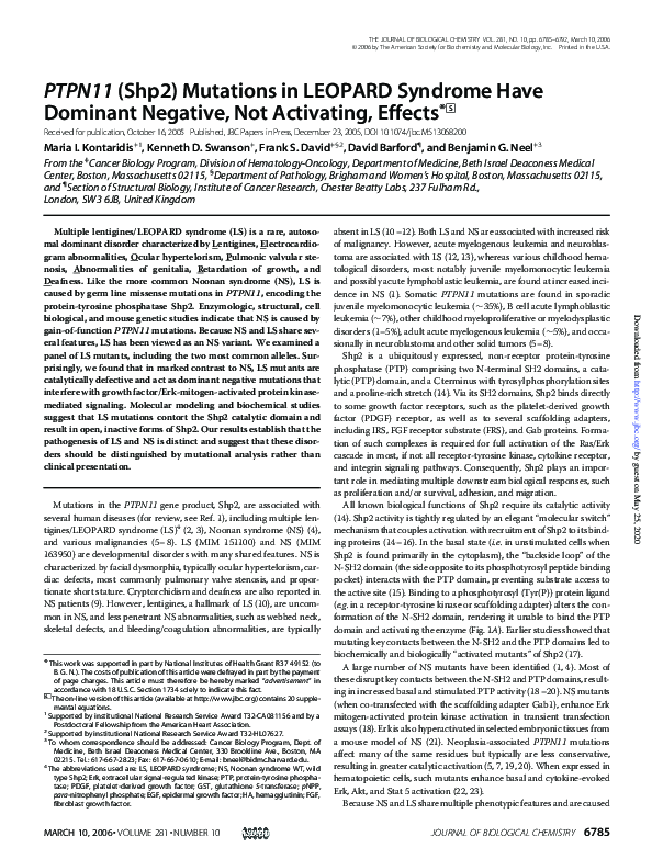 (PDF) PTPN11 (Shp2) Mutations in LEOPARD Syndrome Have Dominant ...
