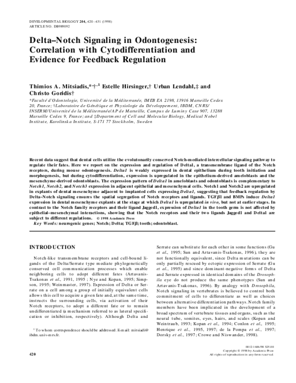 (PDF) Delta–Notch Signaling in Odontogenesis: Correlation with ...