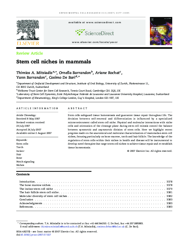 Pdf Stem Cell Niches In Mammals 1800