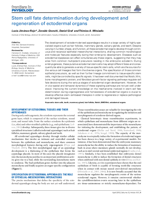 (PDF) Ectoderm Organ Development and Stem Cell Fate