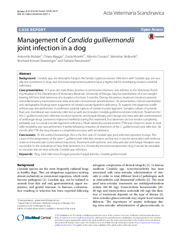 (PDF) Management of Candida guilliermondii joint infection in a dog
